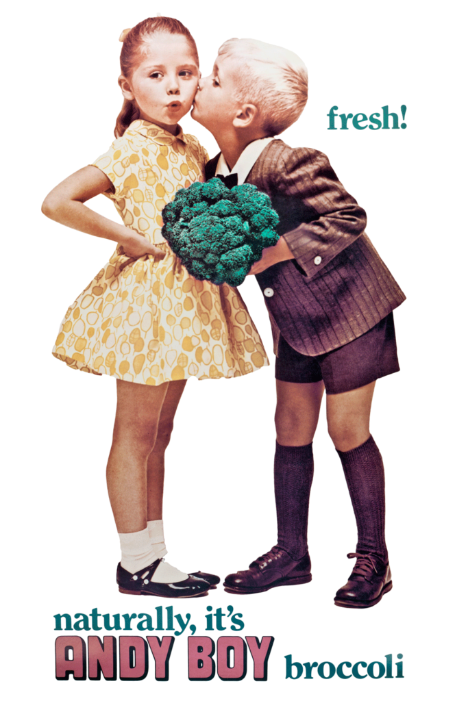 Inside Andy Boy - Andy Boy