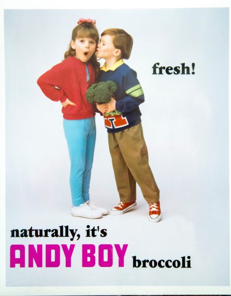 Inside Andy Boy - Andy Boy